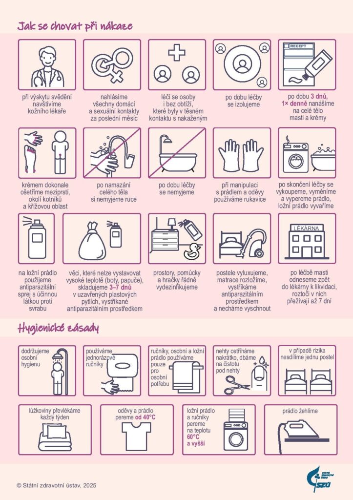 Svrab - základní informace o infekci, léčbě, informační leták - SZÚ ...